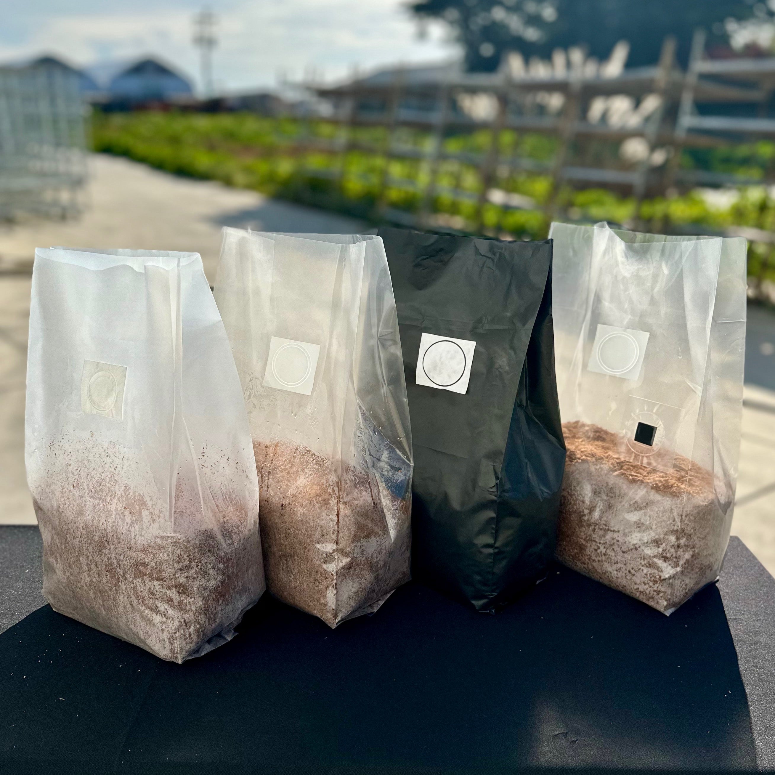 Far West Fungi Farming Solutions