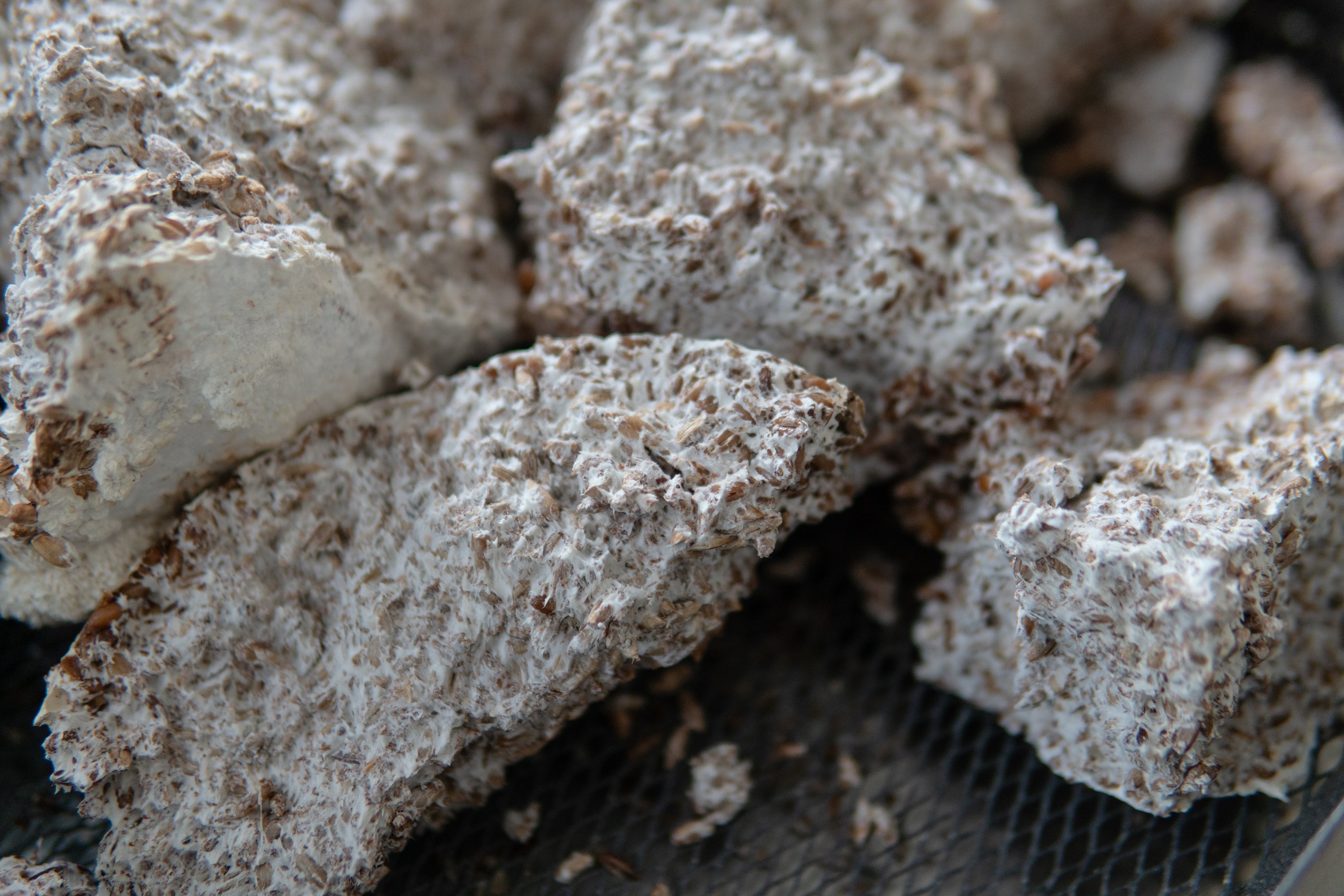 Far West Fungi Farming Solutions