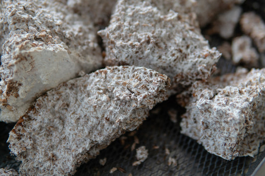 Far West Fungi Farming Solutions
